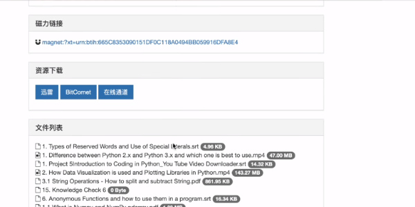 skrbt搜索引擎如何使用-skrbt引擎网站入口地址